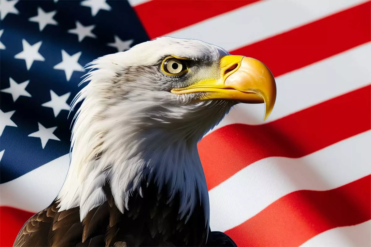 Birds as Symbols of Freedom in American Culture - Birds Tales