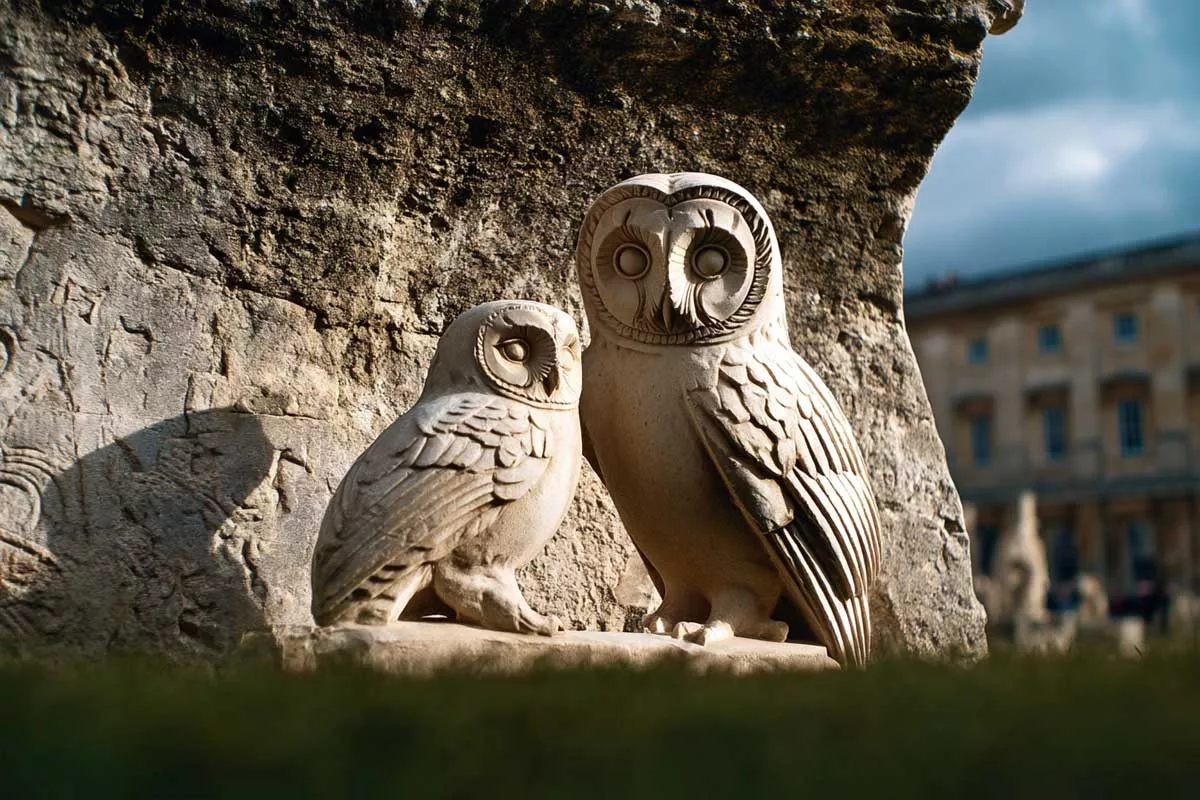 Owl Wisdom Symbolism: Mythology and Spirituality - Birds Tales