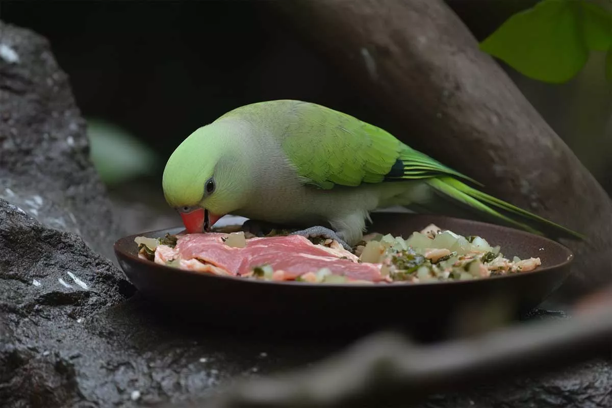 Can Parrots Eat Meat? Key Facts You Need to Know - Birds Tales