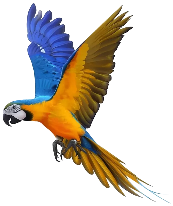 Birdstales