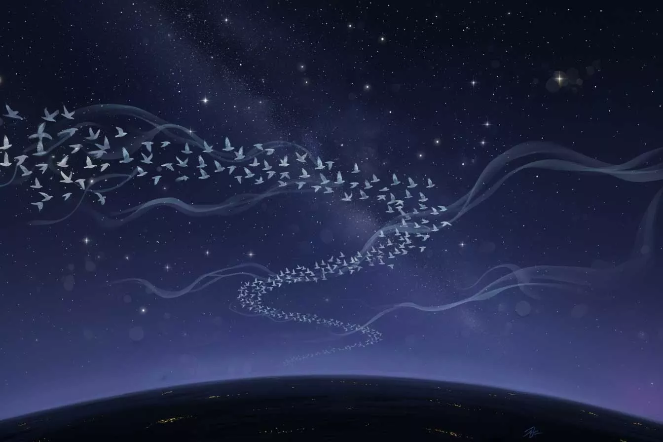 Nocturnal Migration - Why Billions of Birds Fly by Night
